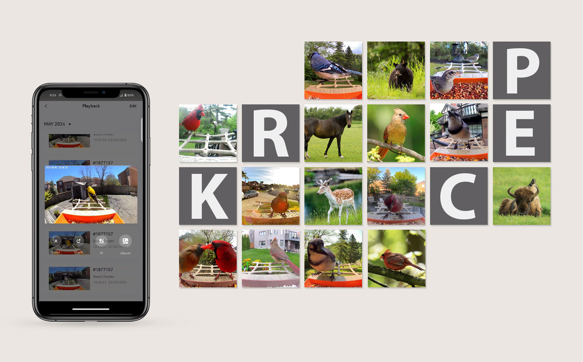 PeckPerk-Experience Nature Like Never Before