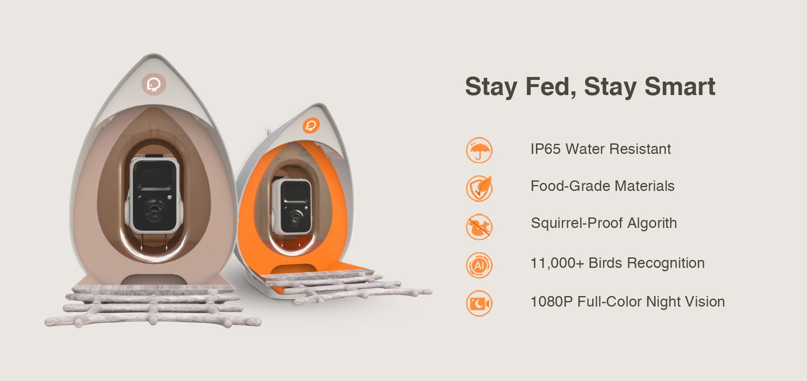 PeckPerk-Experience Nature Like Never Before