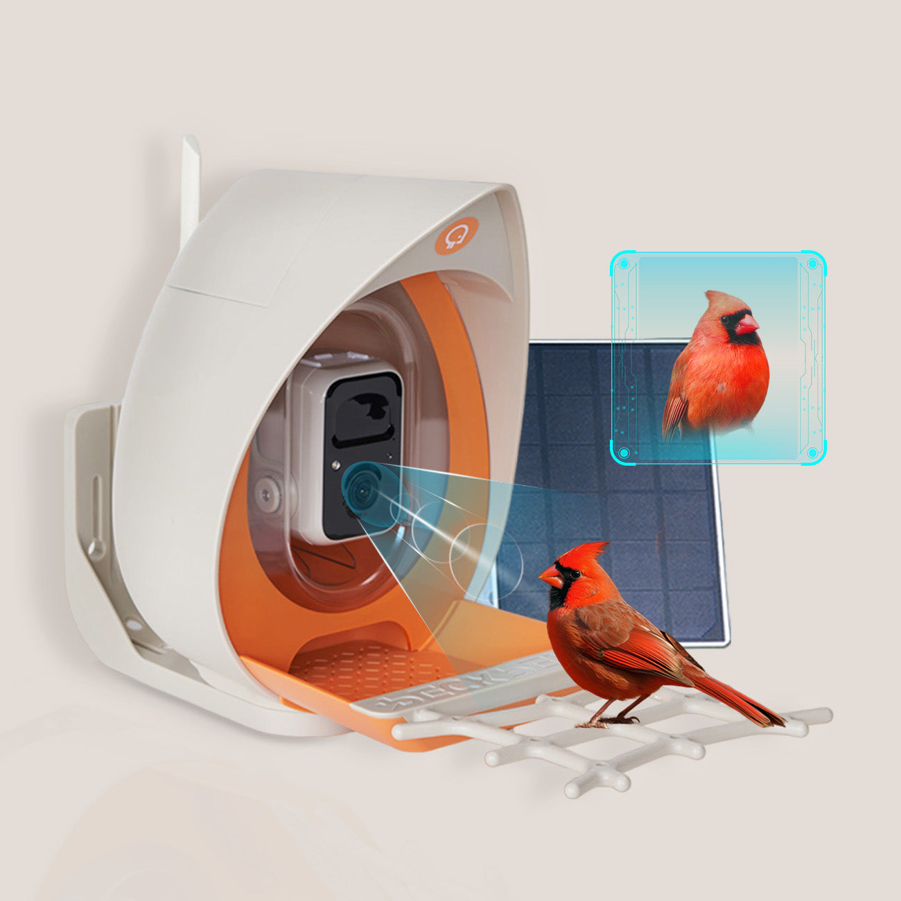 PeckPerk Smart Bird Feeder (Pro Model: AI+Solar Panel）