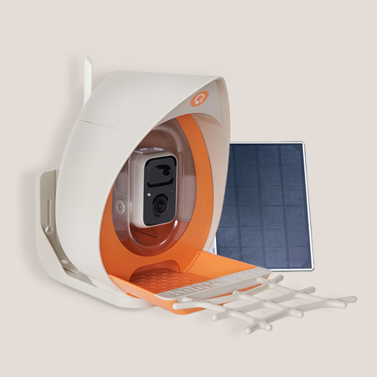 PeckPerk-Experience Nature Like Never Before