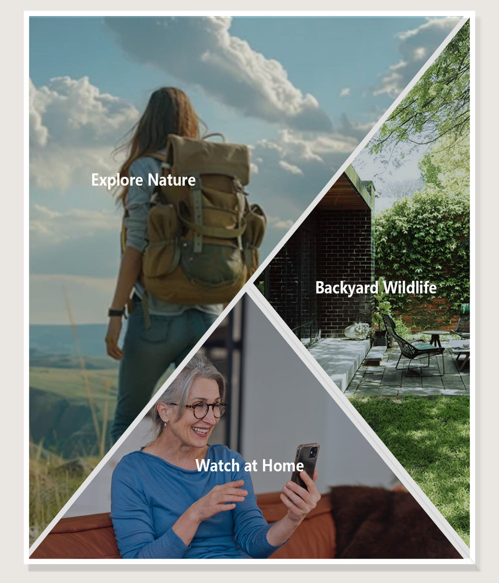 PeckPerk-Experience Nature Like Never Before